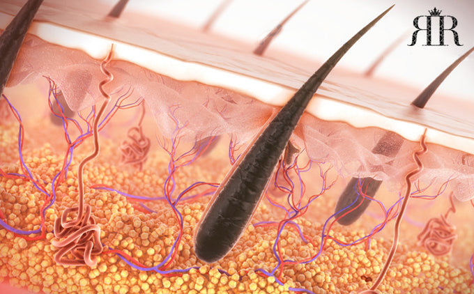 Split Ends Under Microscope